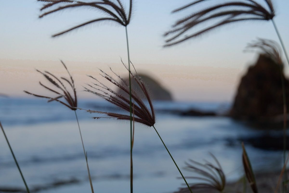 Baler Travel Guide: Places to Visit, Things to Do - The Adventuress