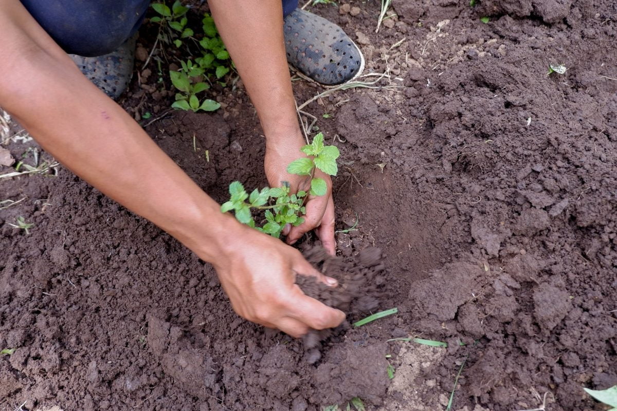 WIN FARM: A Place to Reconnect with Nature - The Adventuress