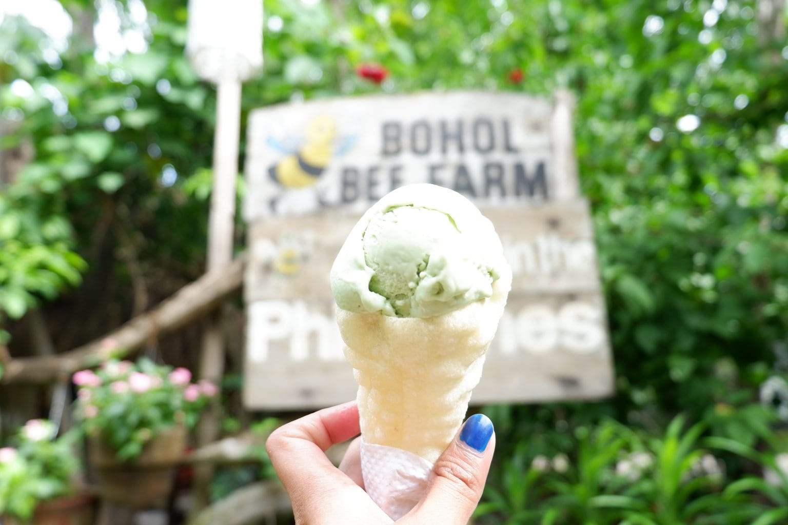 15 Awesome Things to Do in Bohol, Philippines - The Adventuress